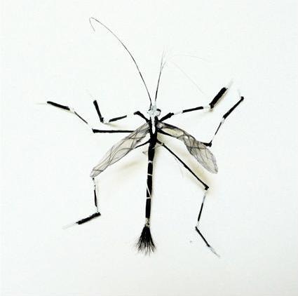 Adrienne Antonson Makes Insects Out of Human Hair | Amusing Planet